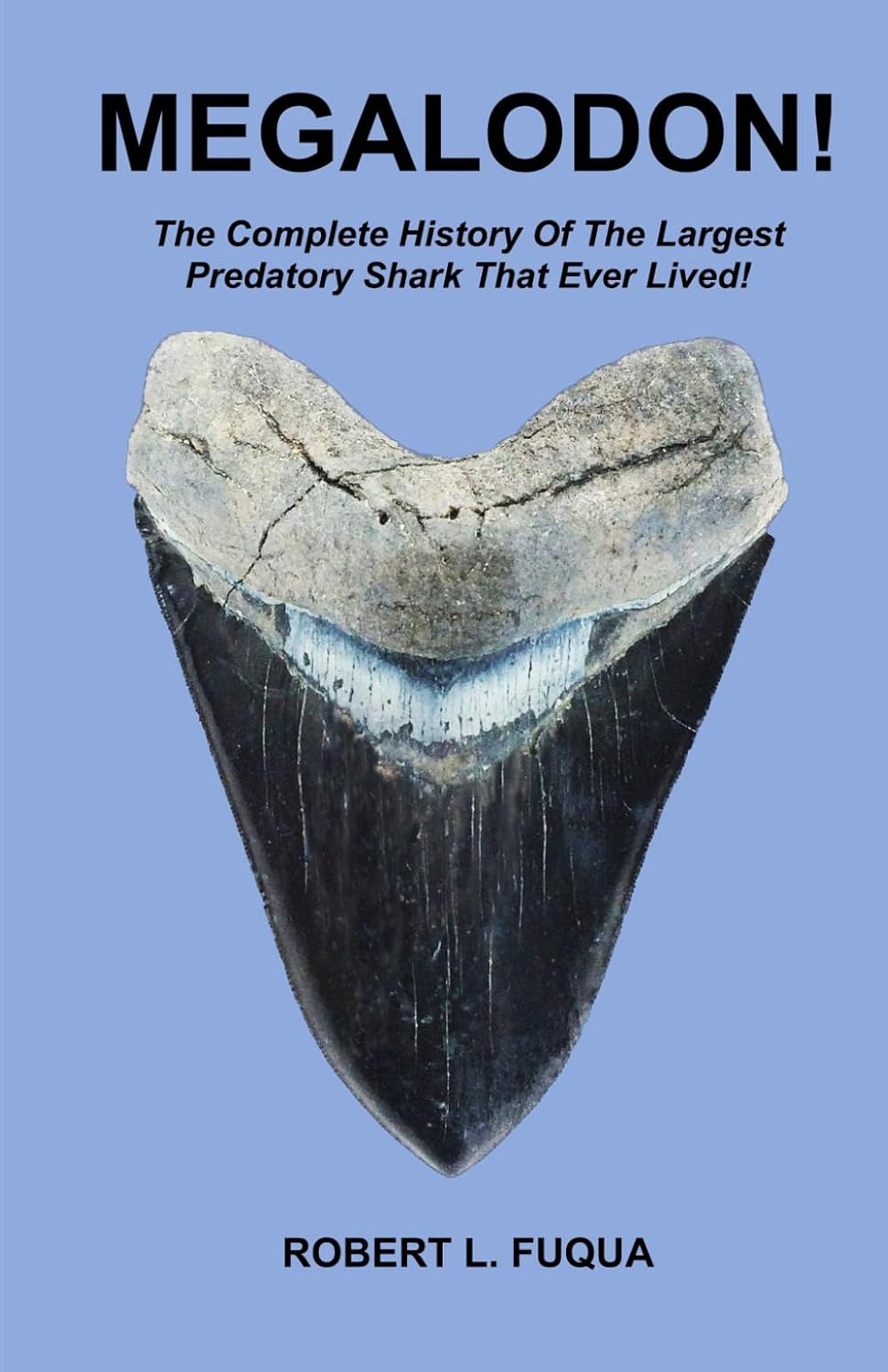 MEGALODON!: The Complete History Of The Largest Predatory Shark That ...