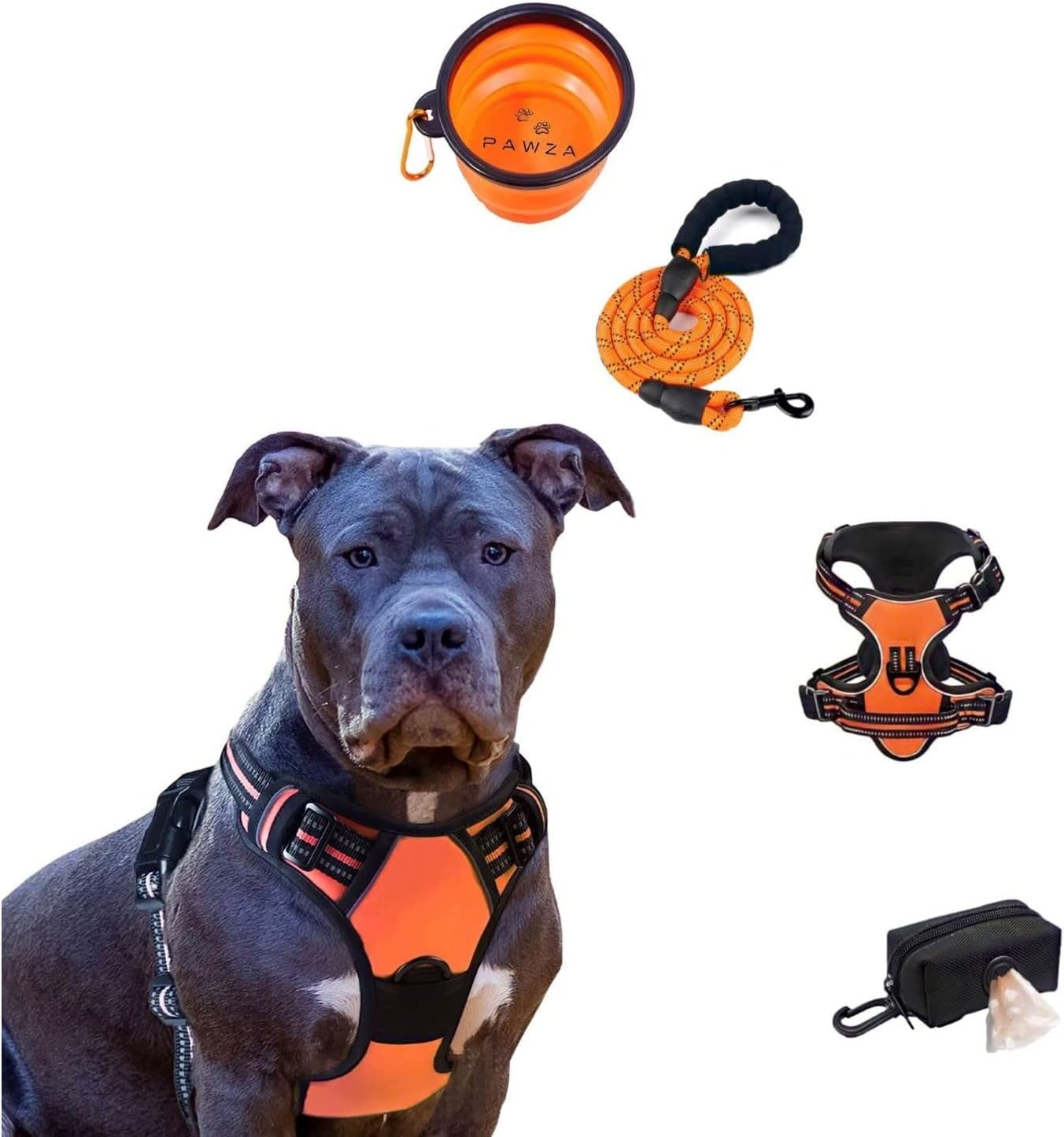 Amazon.com : PAWZA Reflective Step in Fully Adjustable Dog Harness Vest ...