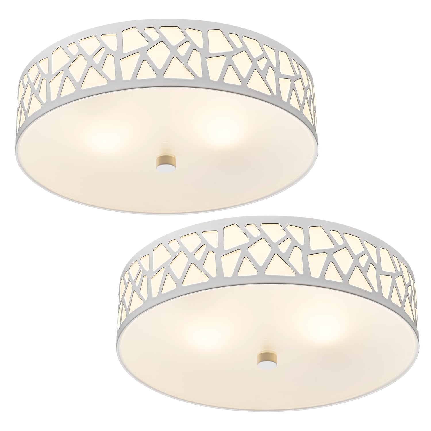 VICNIE 2-Light Flush Mount Ceiling Light, 12 inch Modern Close to ...