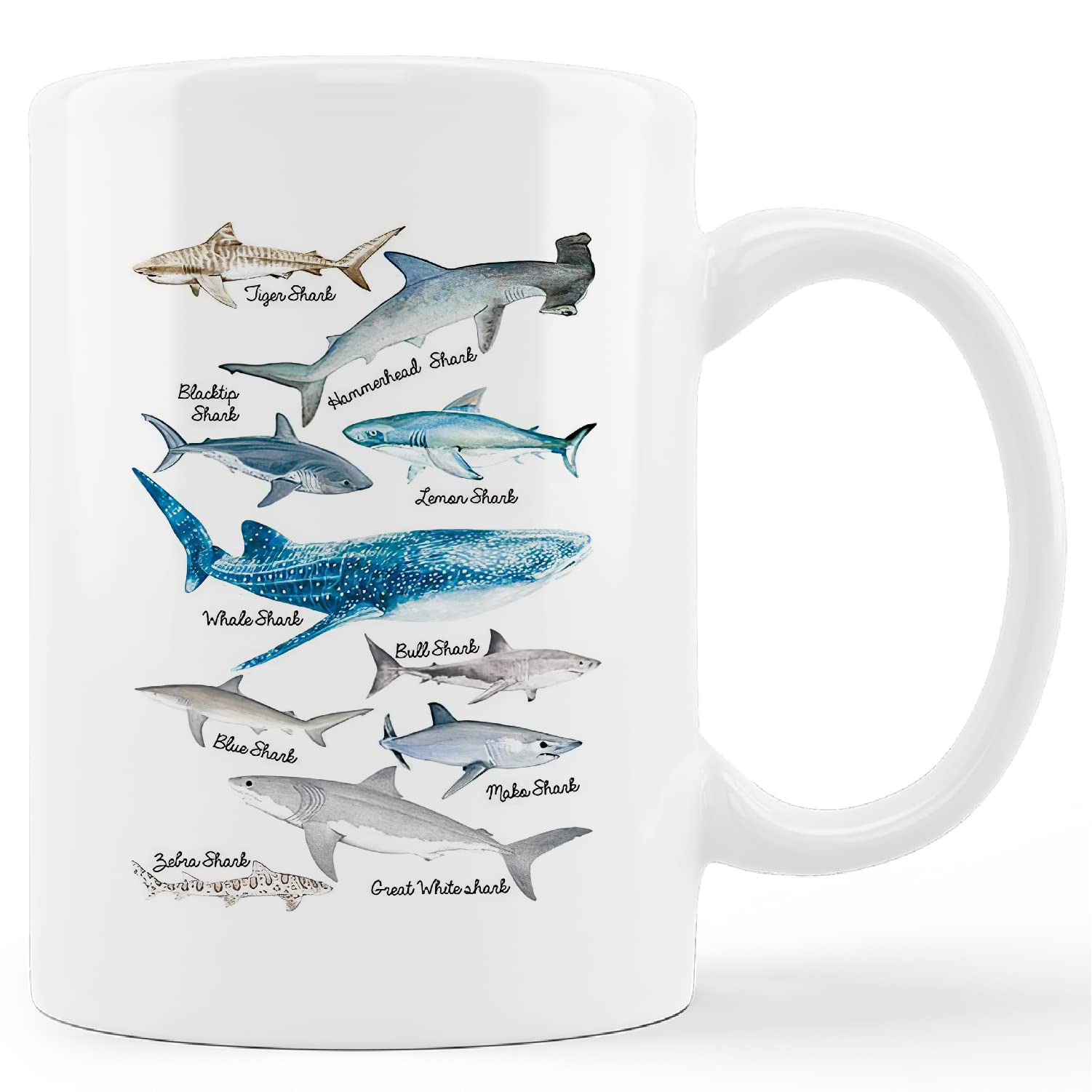 Amazon.com: kunlisa Shark Mug,Shark Cup,Shark Gifts for Shark Lovers ...