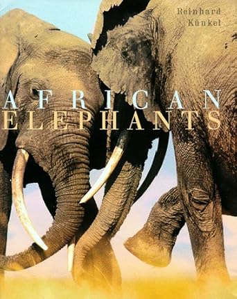 Buy African Elephants Book Online at Low Prices in India | African ...