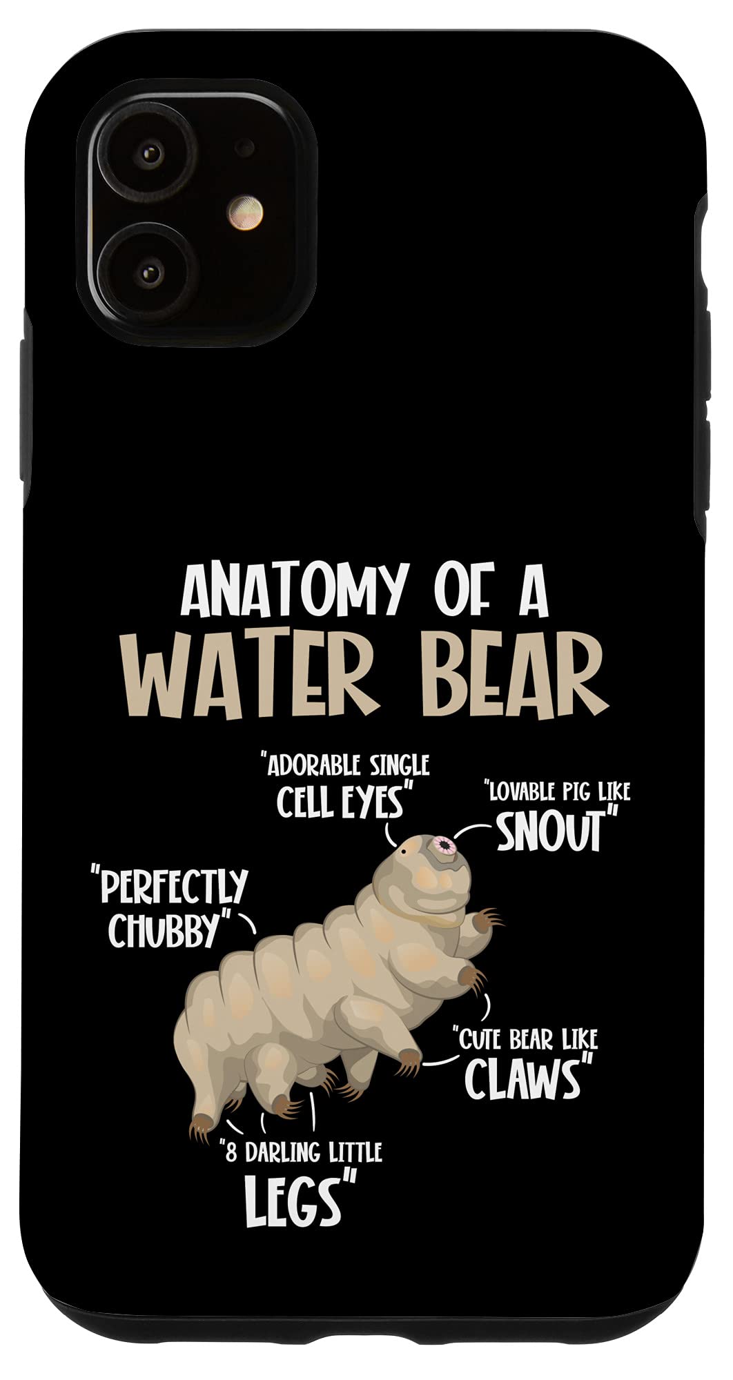 Tardigrade Anatomy