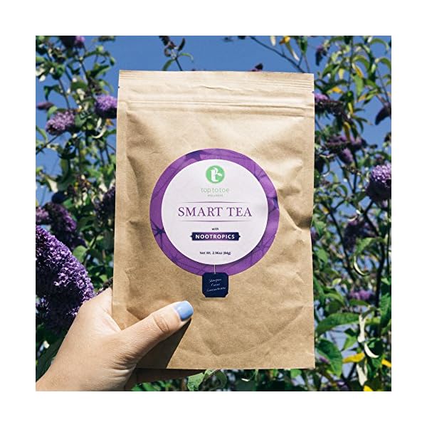 Pace Brands – Smart Tea for Mental Focus | Best 100% Natural & Organic ...