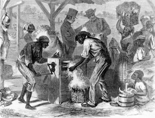 Amazon.com: COTTON IS KING, AND PRO-SLAVERY ARGUMENTS: COMPRISING THE ...