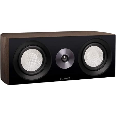 Amazon.com: Fluance Signature HiFi 2-Way Center Channel Speaker for ...