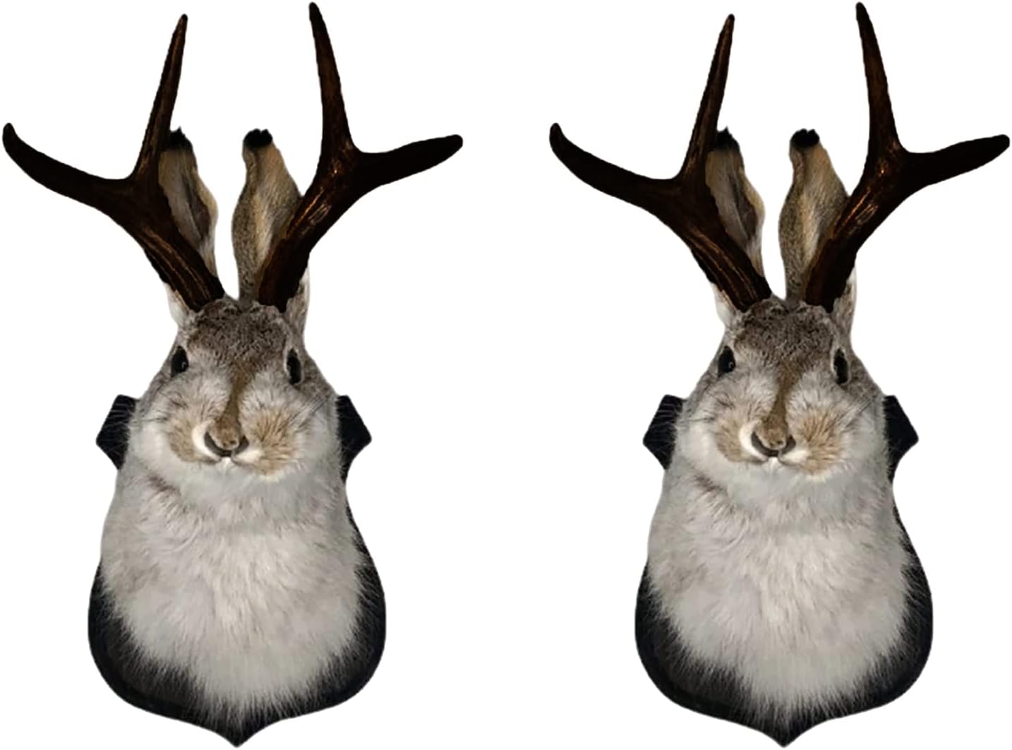 Amazon.com: Jackalope, Jackalope Mount, Jackalope Taxidermy, Simulation ...