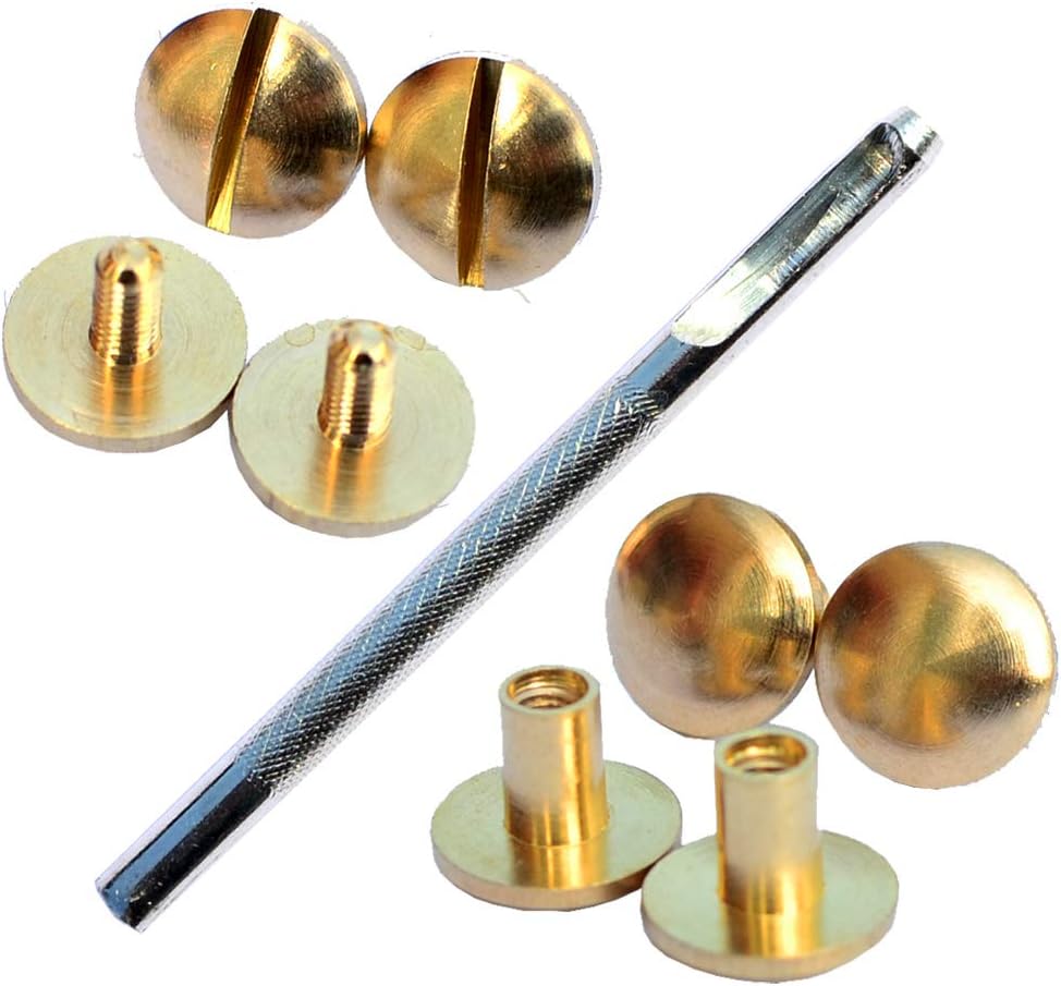 Amazon.com: DGOL 30 Sets Brass Chicago Screws Posts Arc Head Backscrews ...