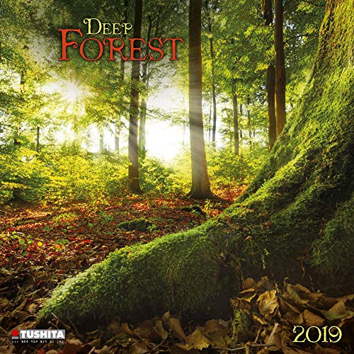Deep Forest – Die 15 besten Produkte im Vergleich - Haustierratgeber Ratgeber