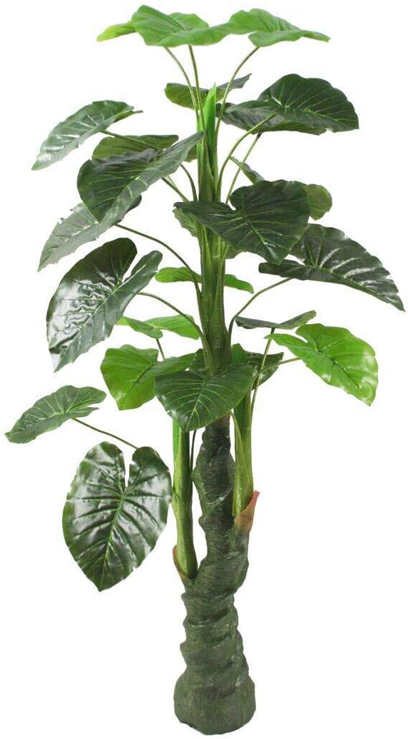 Buy Kaykon Big Artificial Fake Plant Money Plant Tree for Home Decor ...