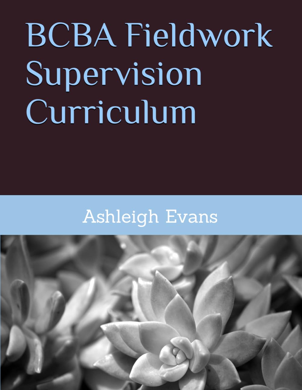 BCBA Fieldwork Supervision Curriculum: Evans, Ashleigh: 9798355221782 ...