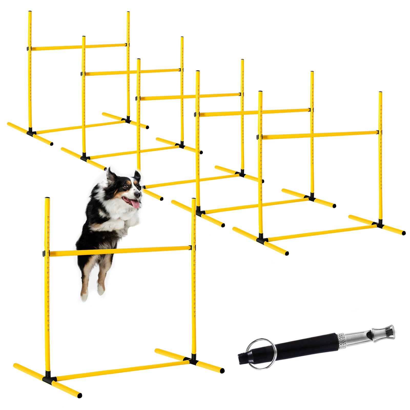 Snapklik.com : Halloscume 6 Pcs Dog Agility Training Equipments Dog ...