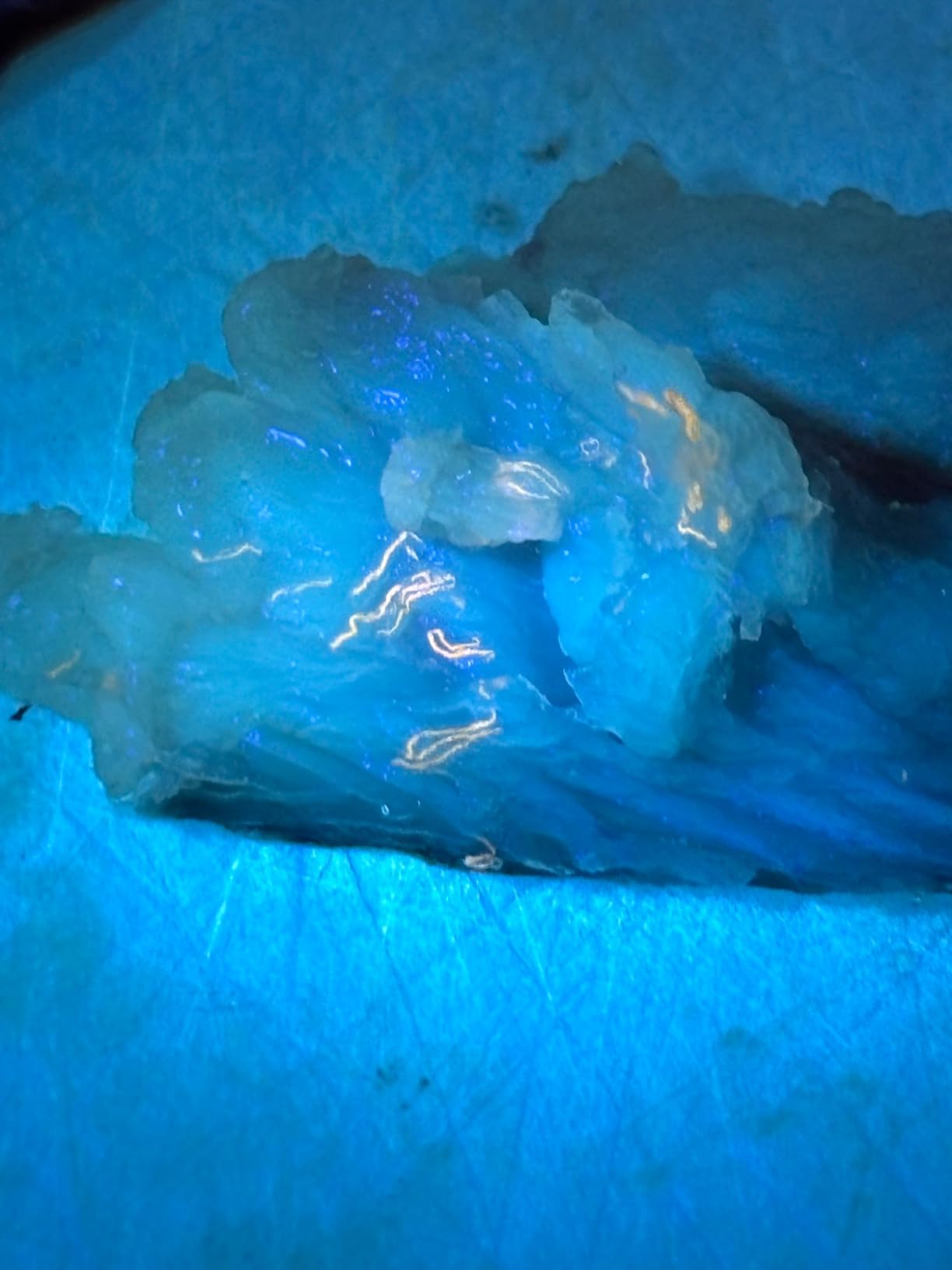 Amazon | ハピソン(Hapyson) 津本式 アニサキスライト 乾電池式 (箱入り) YF-980M | ハピソン(Hapyson) | 釣り小物