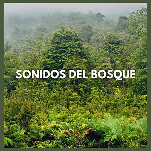 Sonidos del Bosque de Sonido Del Bosque y Naturaleza en Amazon Music ...