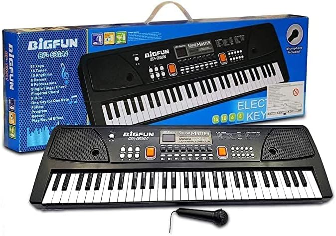 Licpo 61 Key Electronic Musical Piano Keyboard with LCD Display ...