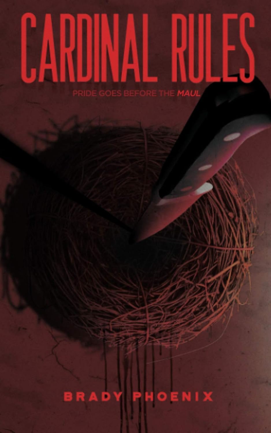 Cardinal Rules: Phoenix, Brady, Phoenix, Brady: 9781736239407: Amazon ...