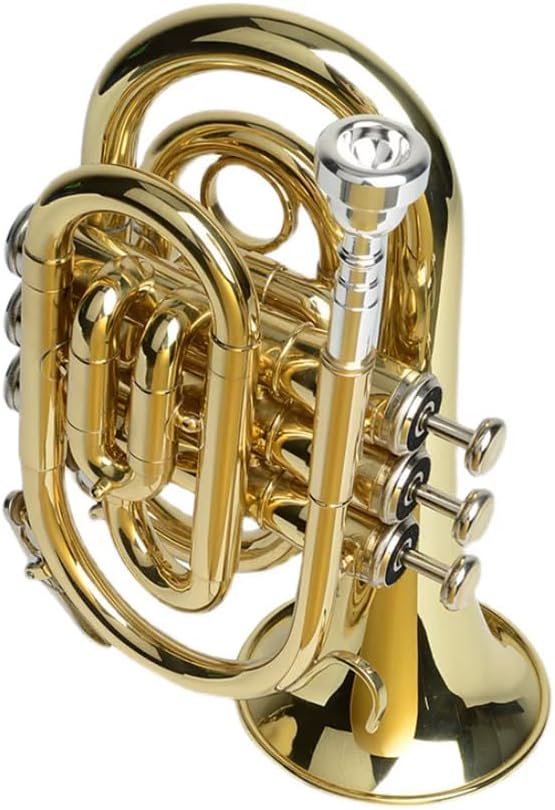 Amazon.com: Portable Trumpet Palm-Sized B-Flat Cornet Wind Instrument ...