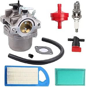 Amazon.com: Carburetor W/Air Filter for Snapper 2812523BVE Model ...