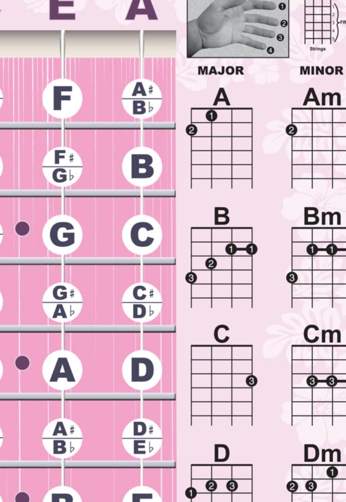 Tabla De Acordes De Ukelele Completa Para Principiantes Póster