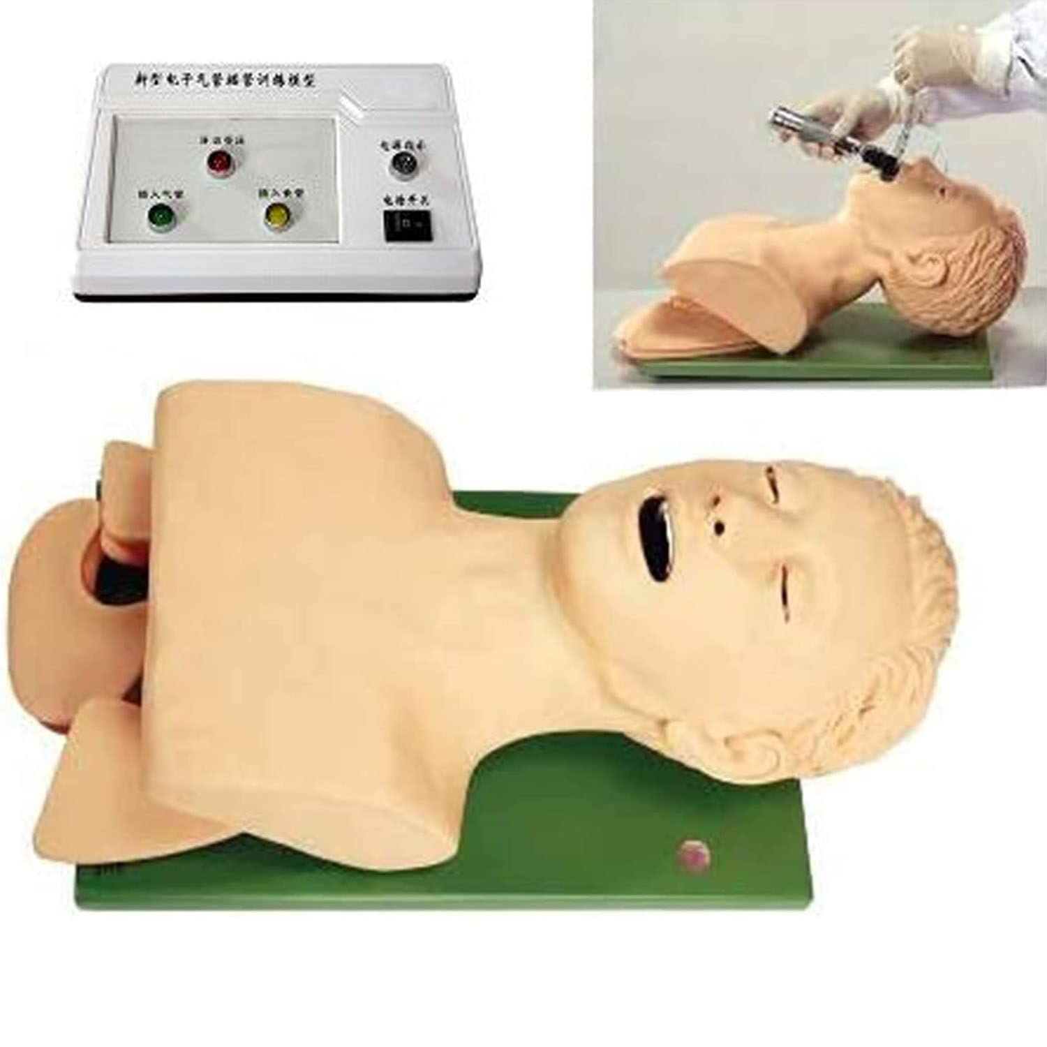 Deejoo Adult Tracheal Intubation Simulator Mode Intubation Manikin Oral ...