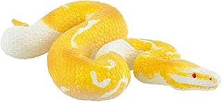 The Beautiful World Of Leucistic Ball Pythons: A Guide To The ...