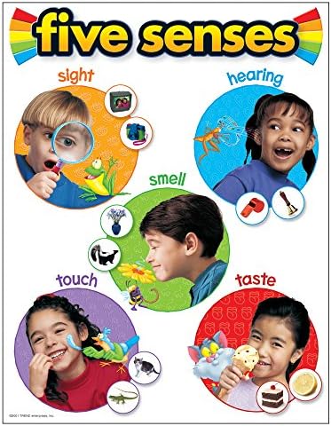 TREND enterprises, Inc. Numbers 1-100 Learning Chart, 17" x 22" : TREND ...