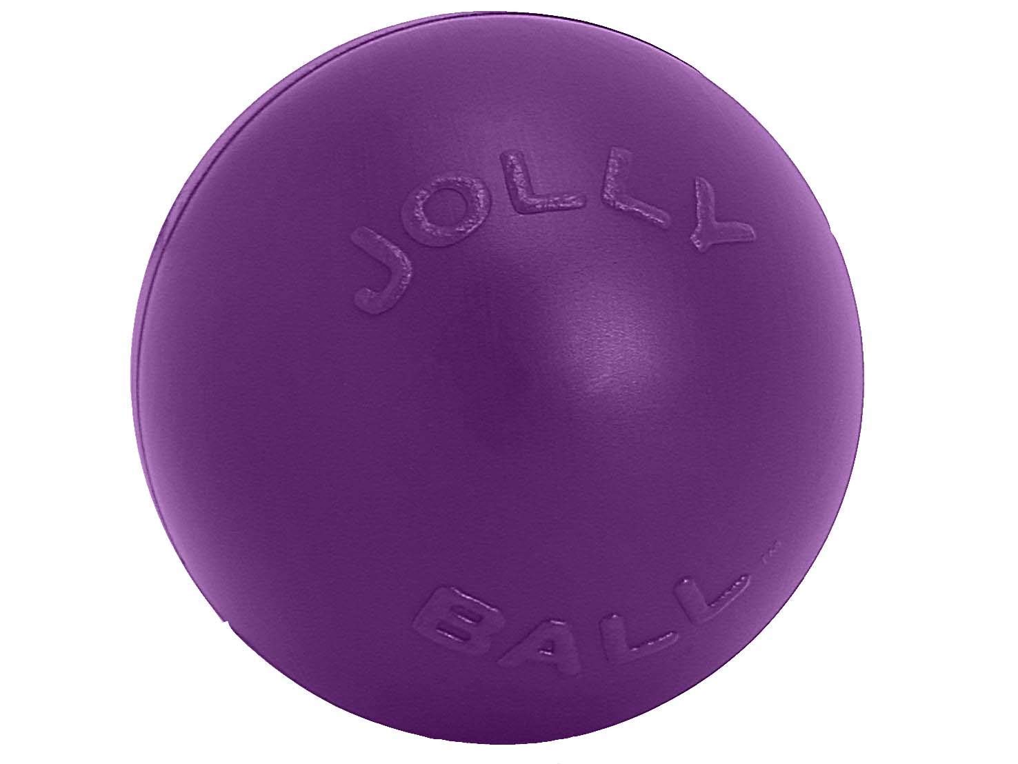 Jolly Pets Push-n-Play Ball Dog Toy, 10 Inches/Large, Purple : Amazon ...