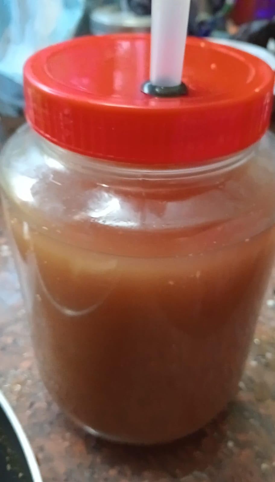 Buy Gutbasket Glass Fermentation Jar 2 Liter Fermenter Jar with Airlock ...