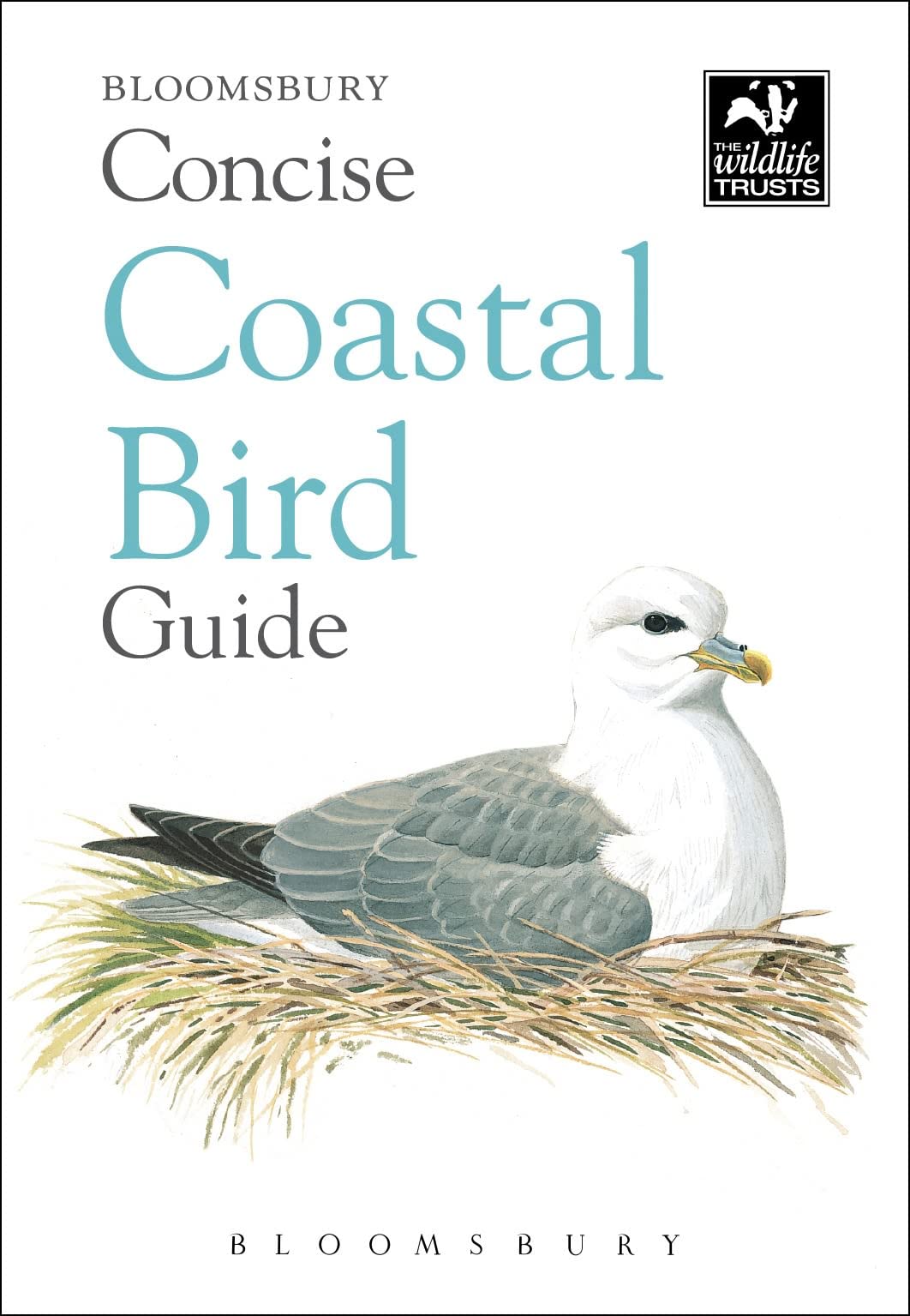 Concise Coastal Bird Guide (Concise Guides): Amazon.co.uk: TBD ...