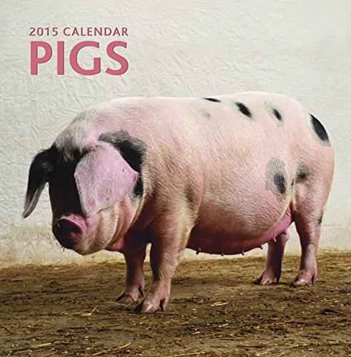 2015 Calendar: Pigs: 12-Month Calendar Featuring Wonderful Photography ...