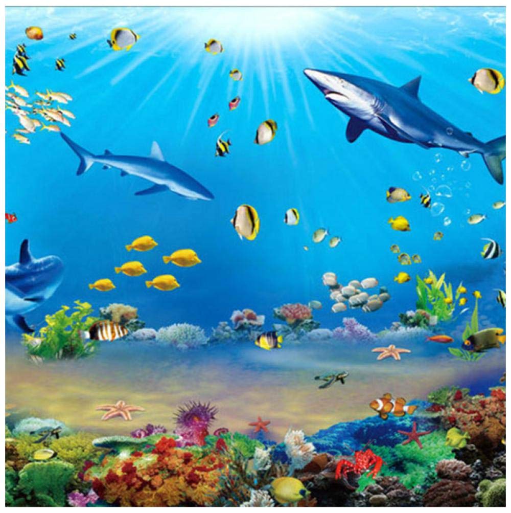 3d Fish Wallpaper Hd