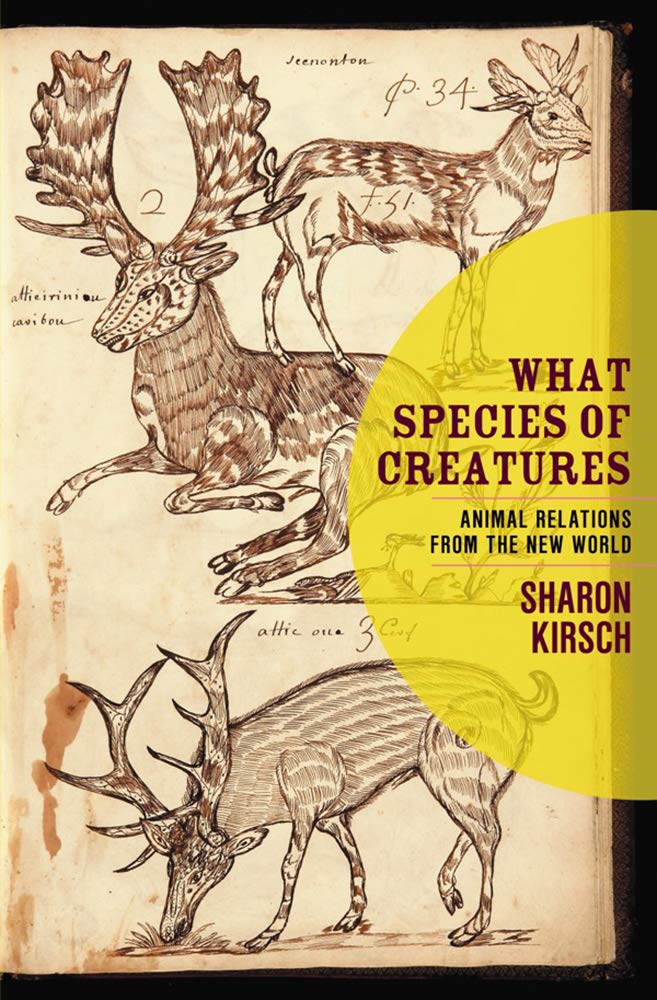 What Species of Creatures: Animal Relations from the New World: Kirsch ...