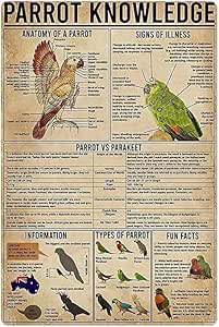 Amazon.com: Parrot Knowledge Metal Poster Anatomy Of A Parrot Tin Signs ...