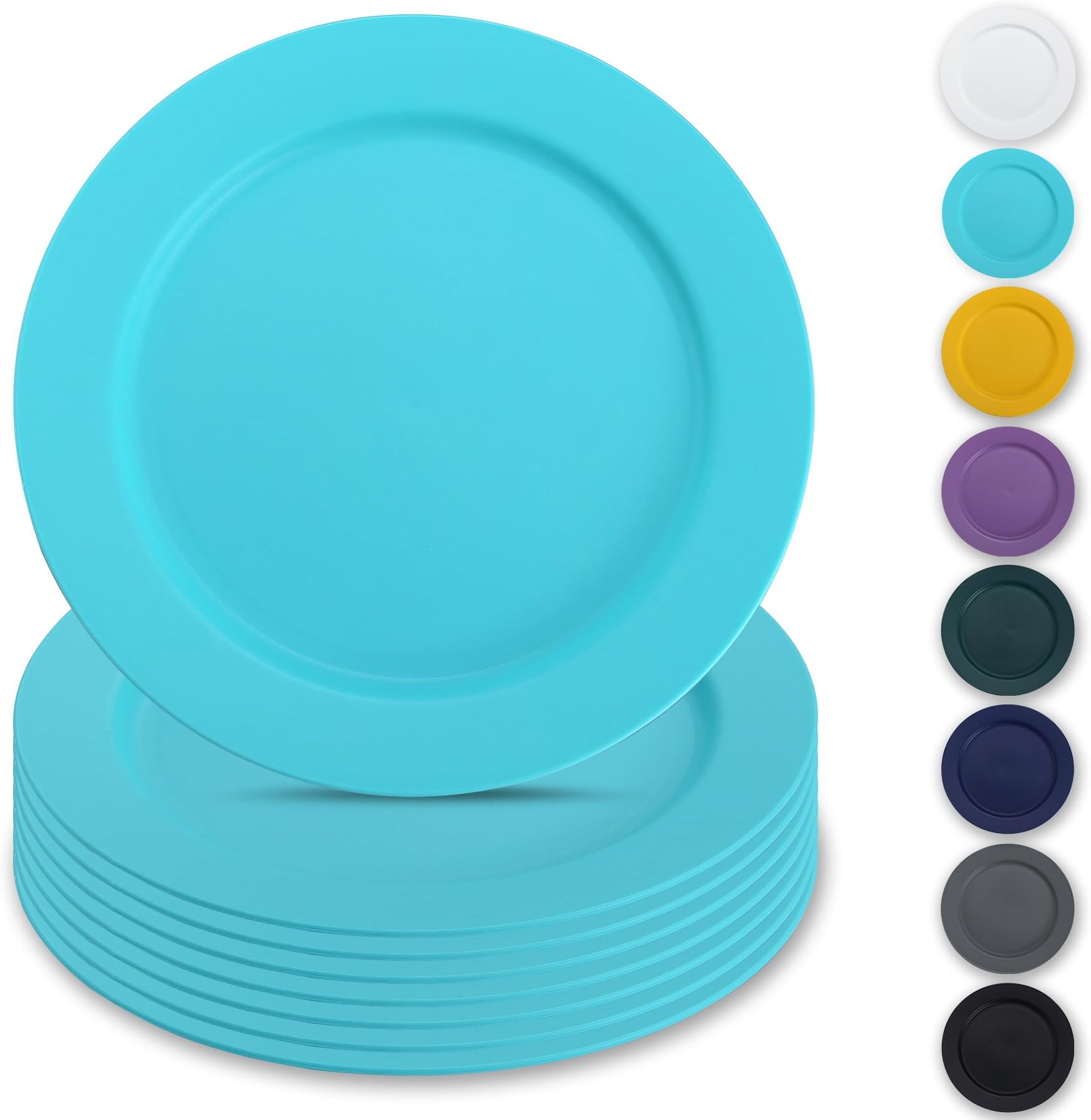 Berglander Assiettes en plastique 12 pièces 25cm, EUR bleu plates ...