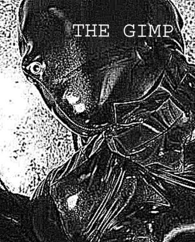 Amazon | The Gimp (English Edition) [Kindle edition] by Nosnibor ...