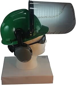 MSA V Cap Style Hard Hat Kit w/Faceshield Attachment, Earmuffs, and ...