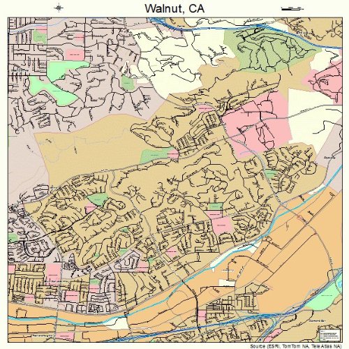 Amazon.com : Large Street & Road Map of Walnut, California CA - Printed ...