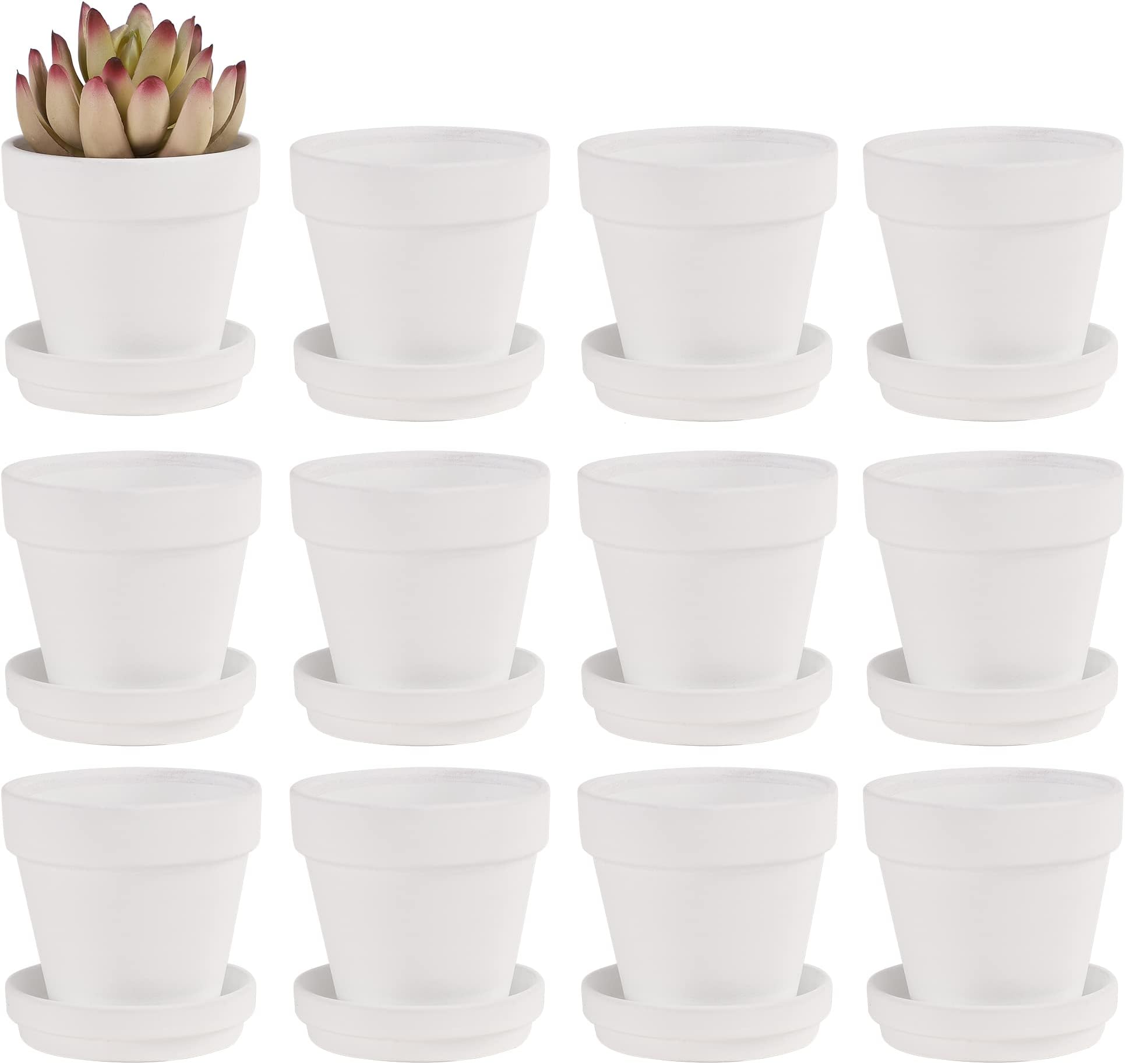 Amazon.com: 12 Pack Small Succulent Pots 3 Inch White Ceramic Planter ...