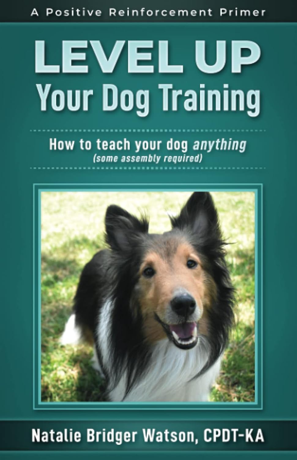 Level Up Your Dog Training: How to Teach Your Dog Anything (Some ...