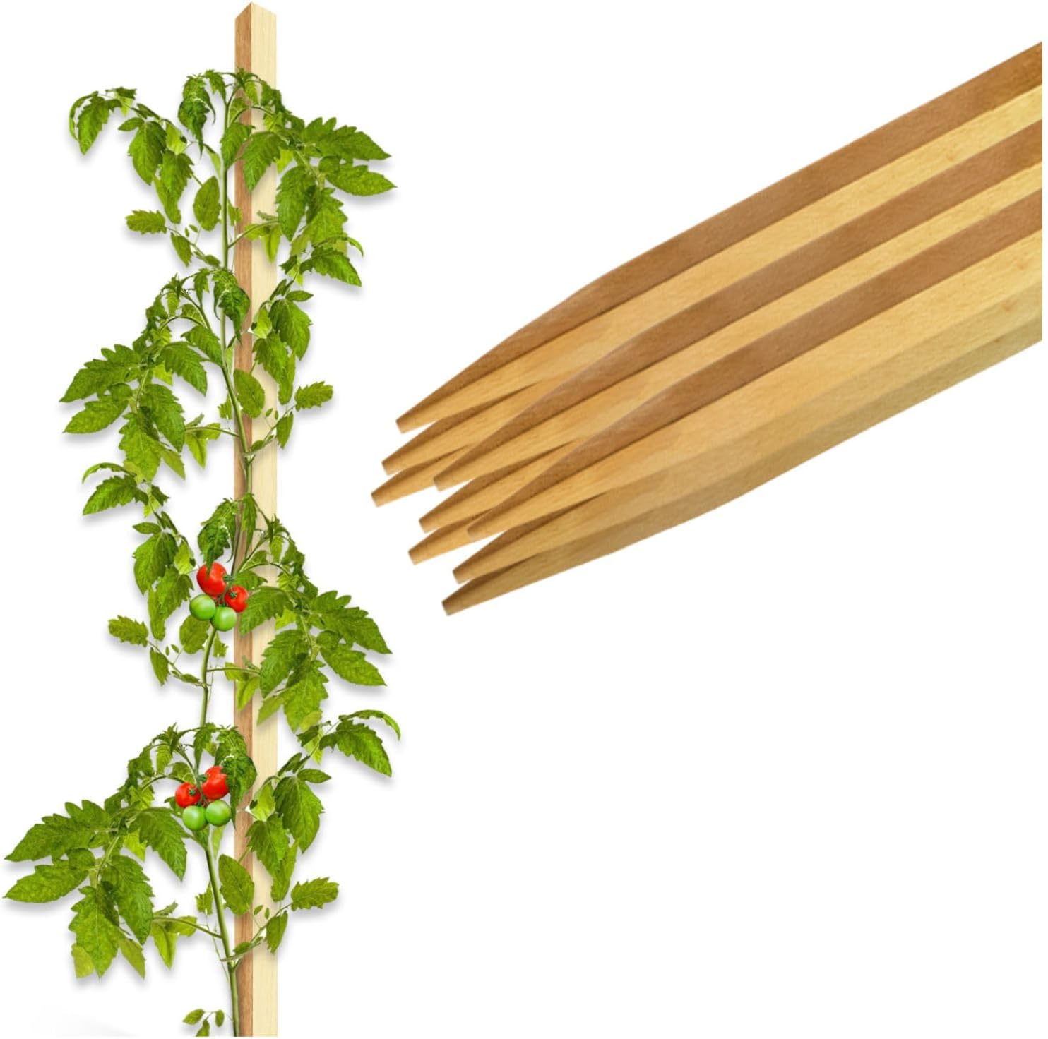 Amazon.com : Greenes Fence 3 Ft. Wooden Garden and Sign Post Stakes ...