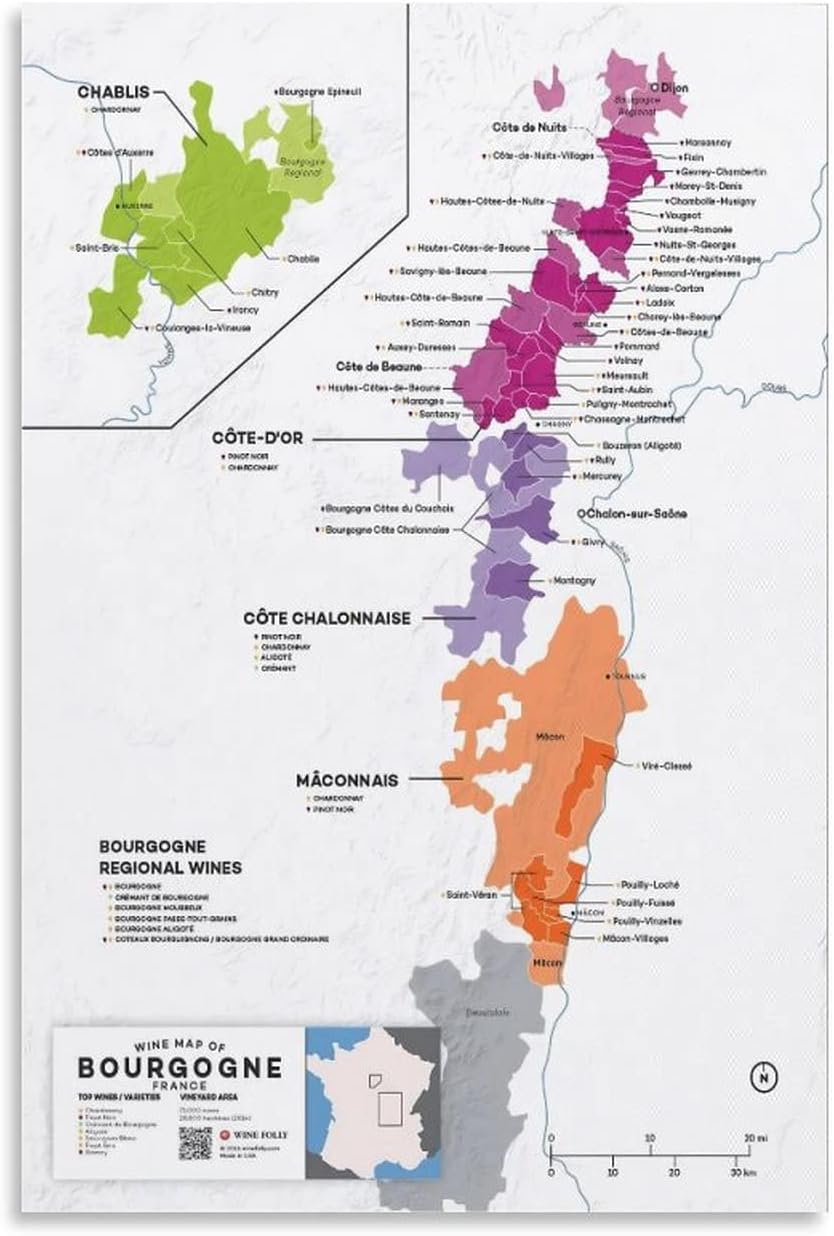 Amazon.com: CAKEN France Wine Regions Map Burgundy Wine Map Poster ...