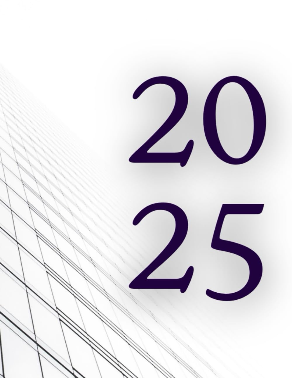 My 2025 Vision board - Yearly planner: Mungara, Amisha: Books - Amazon.ca