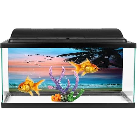 Parko Big Size Fish Tank Aqua Habitat Aquarium 24 Litre,9x9x18 Inches ...