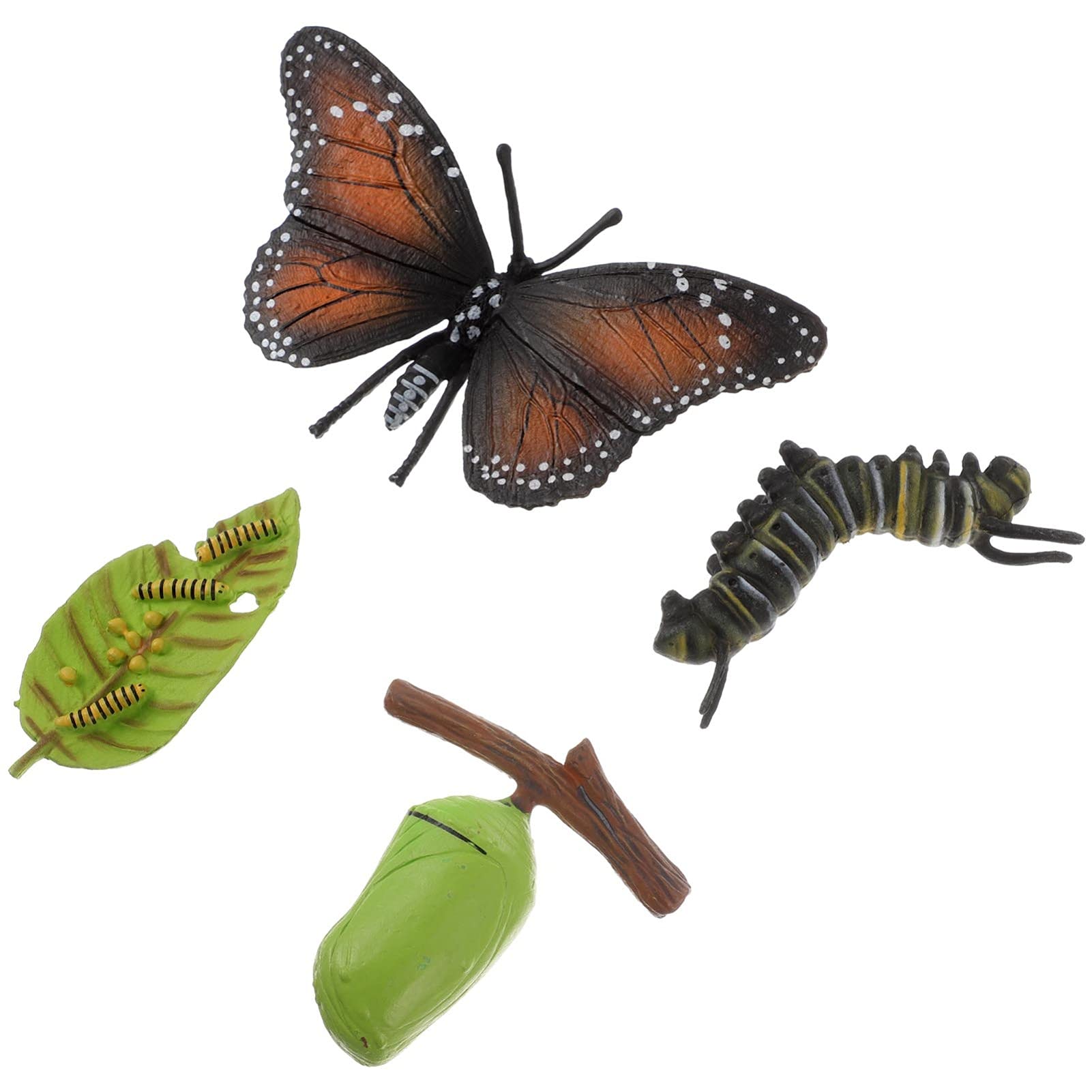 Buy Cabilock Life Cycle of a Monarch Butterfly Nature Insects Life ...