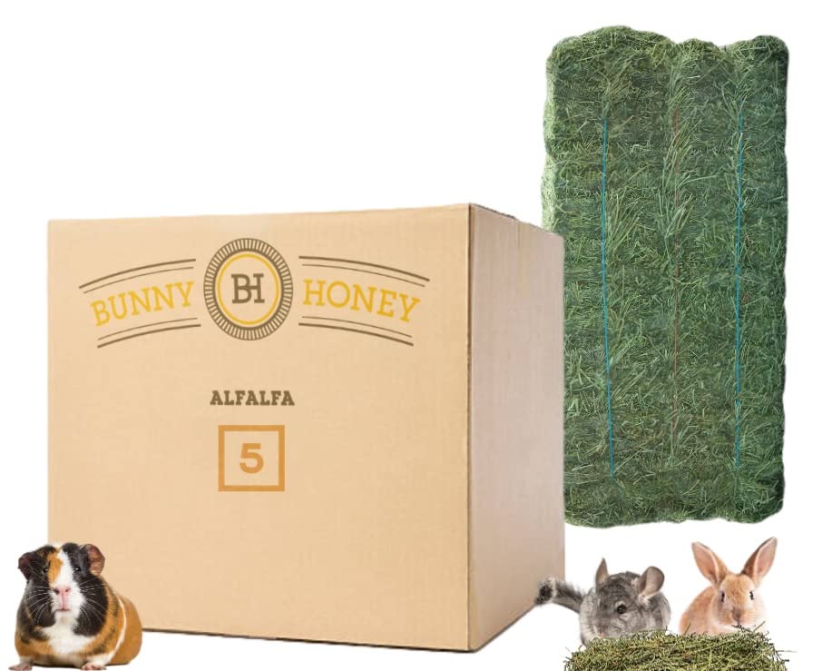 Alfalfa Hay For Rabbits