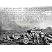 Amazon.com: USMC Motivation Poster General James Mattis 18x24 ...