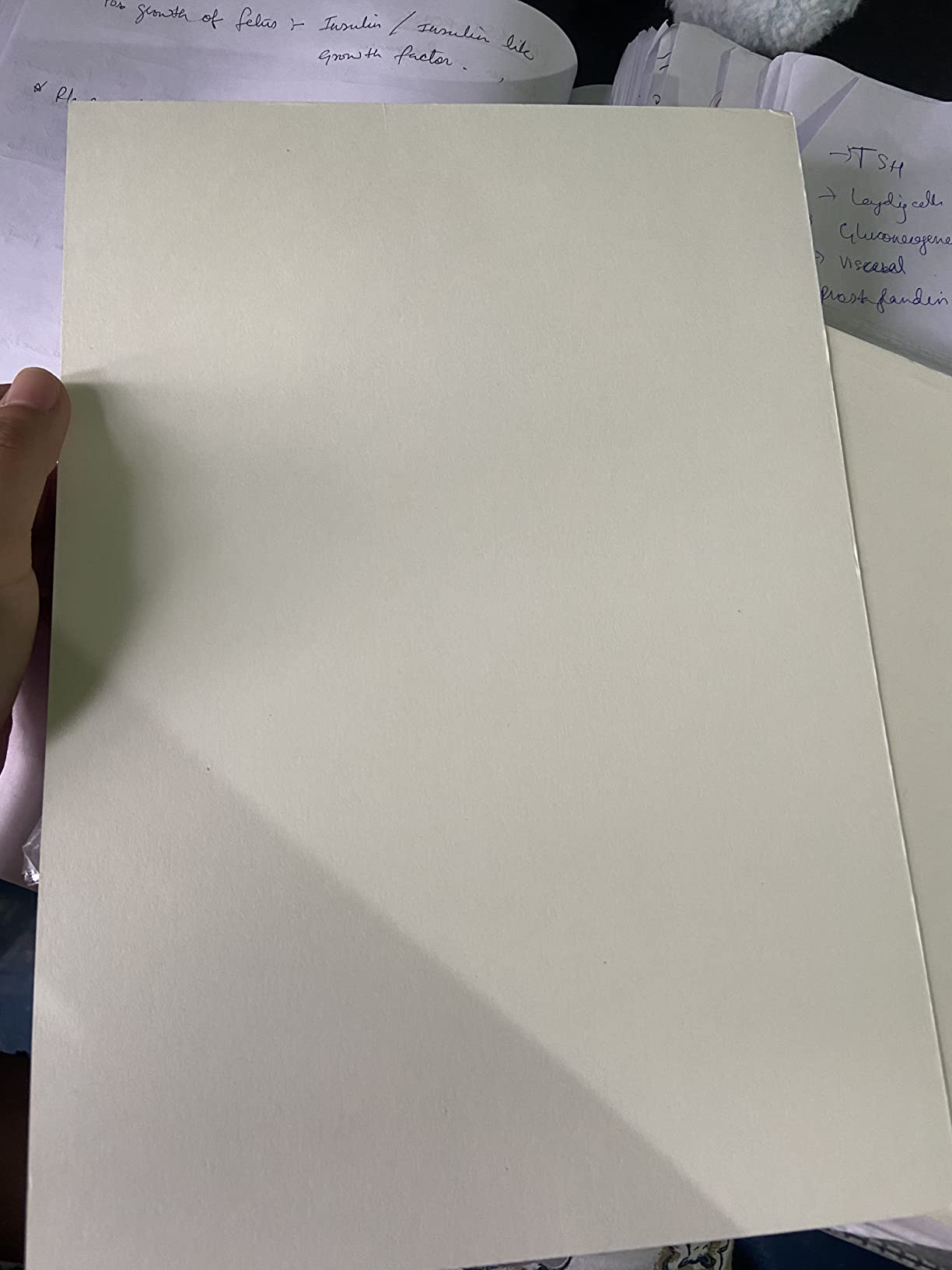 Lakeer A4 Off White Paper | 175 GSM Colour Cardstock Paper-Pack of 50 ...