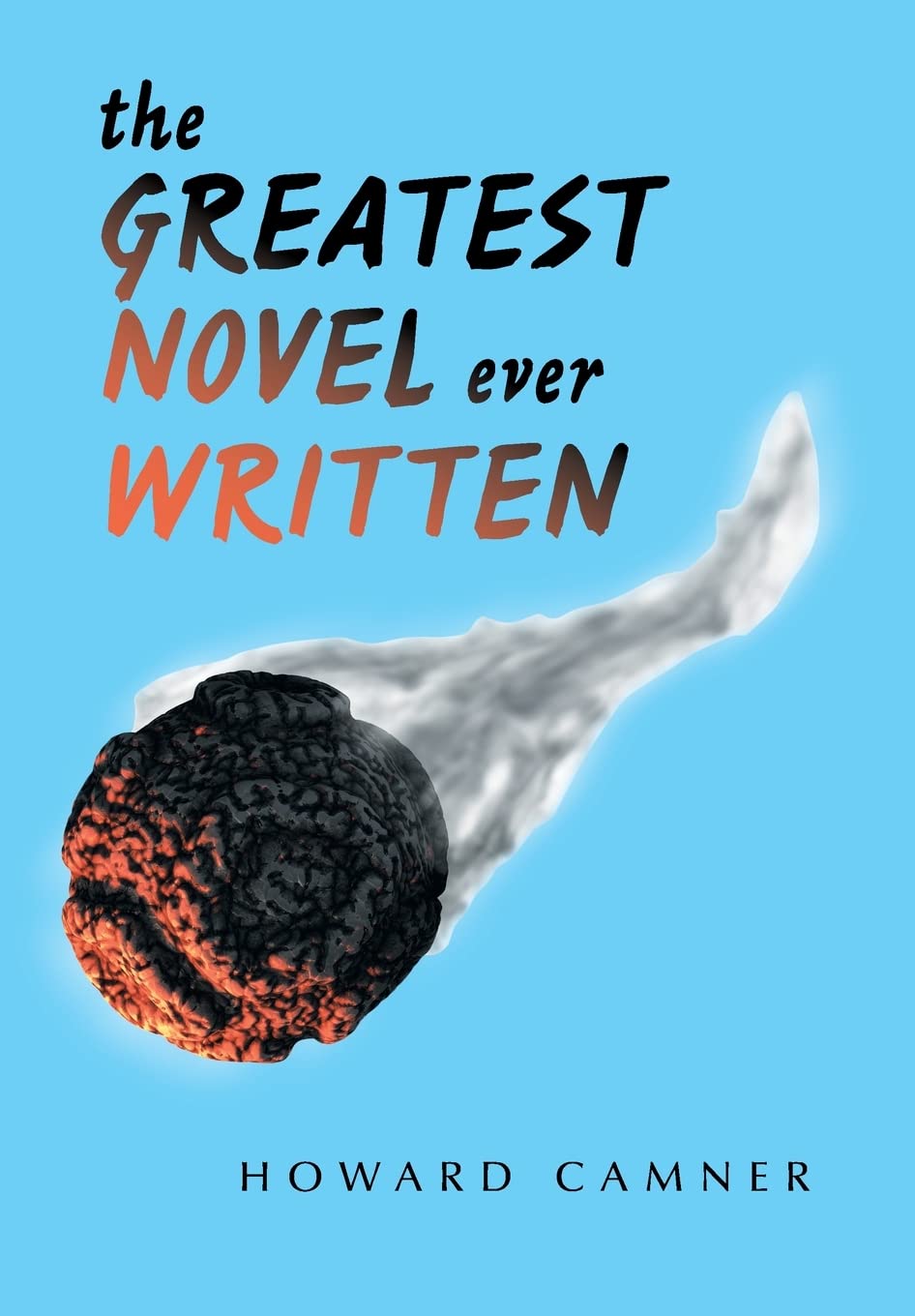 The Greatest Novel Ever Written: Camner, Howard: 9781664196681: Amazon ...