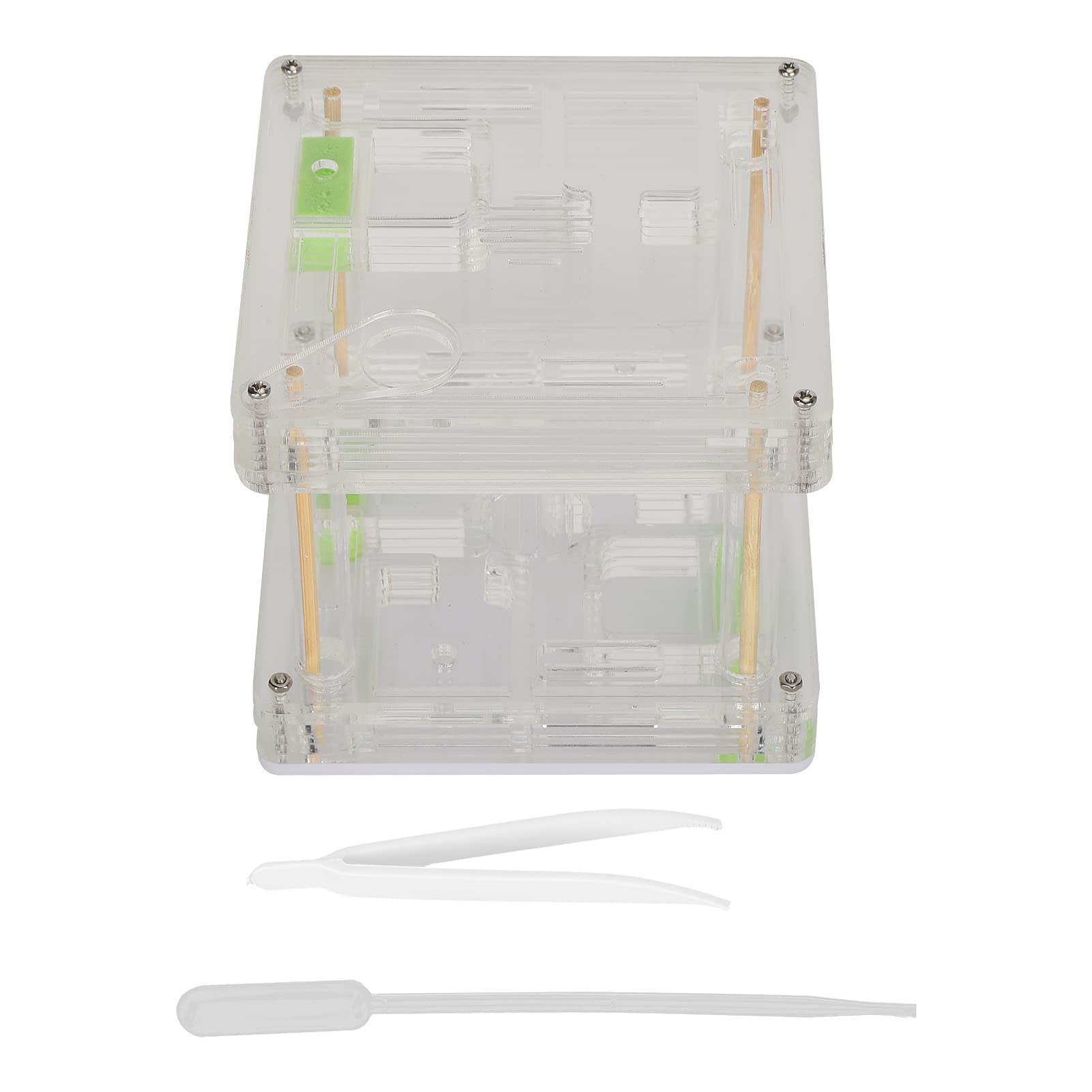 Buy HEEPDD Ants Nest Villas, Ants Farm Ant Nest Ant Habitat Ants Hill ...