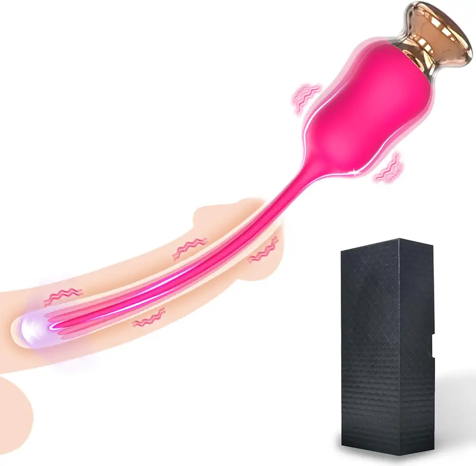 The Journey Of Sperm: Exploring The Path From The Testes To The Urethra ...