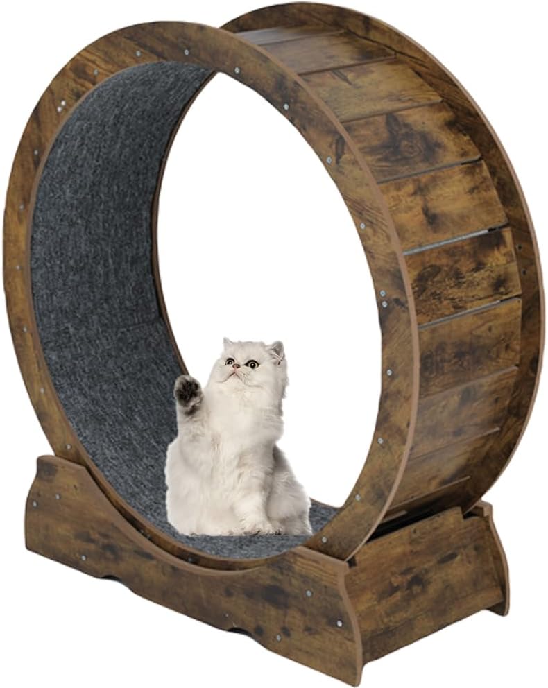 Cat Wheel Exerciser for Indoor Cats Large，Cat Running Wheel ， Cat ...